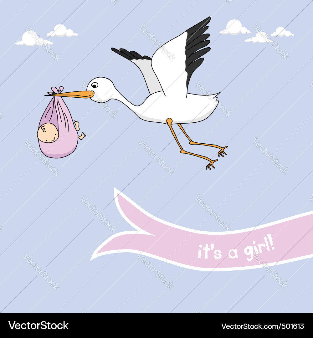 Cute Baby Stork Arrival Card Royalty Free Vector Image