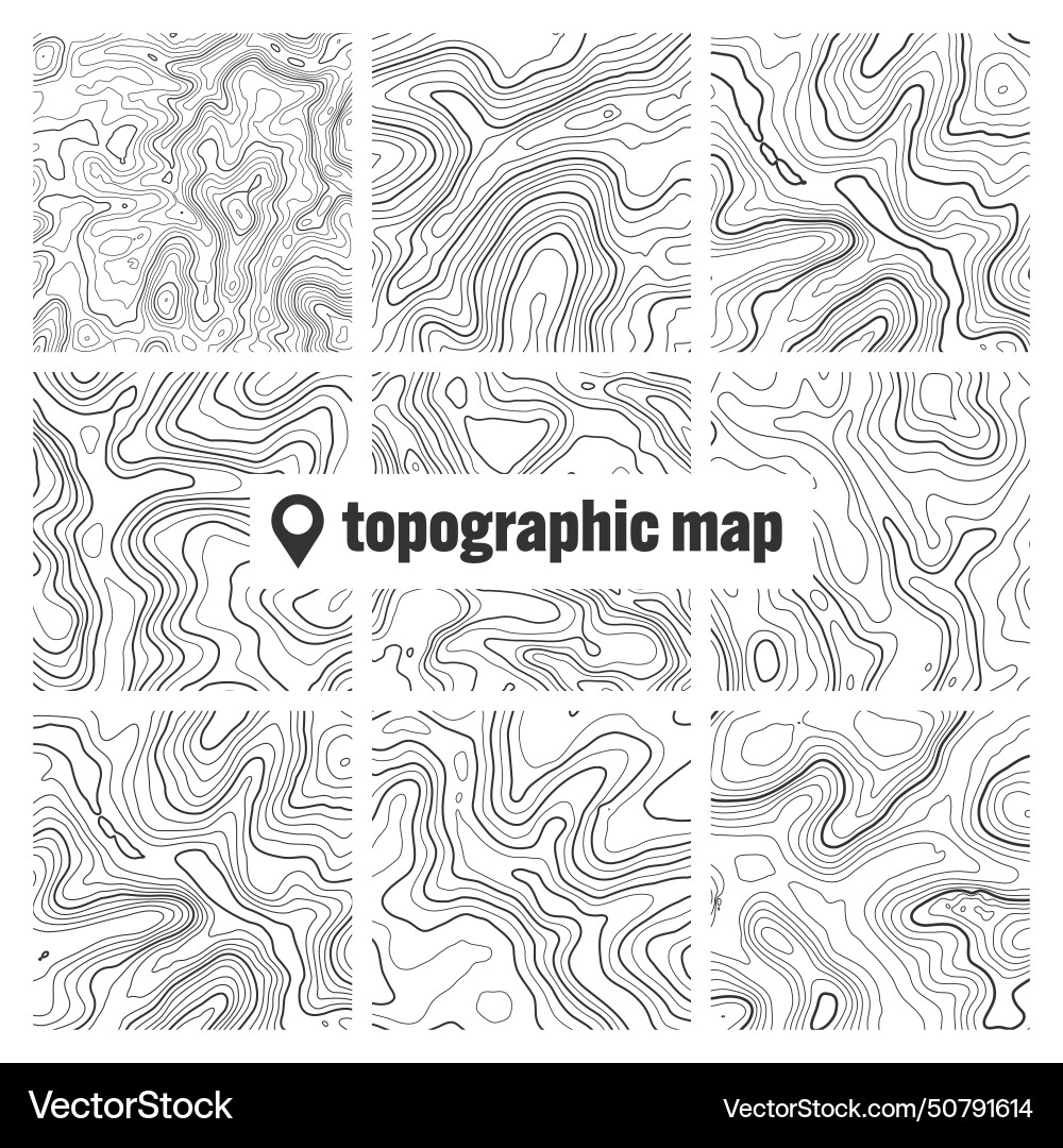Topographic map with contour lines geographic Vector Image