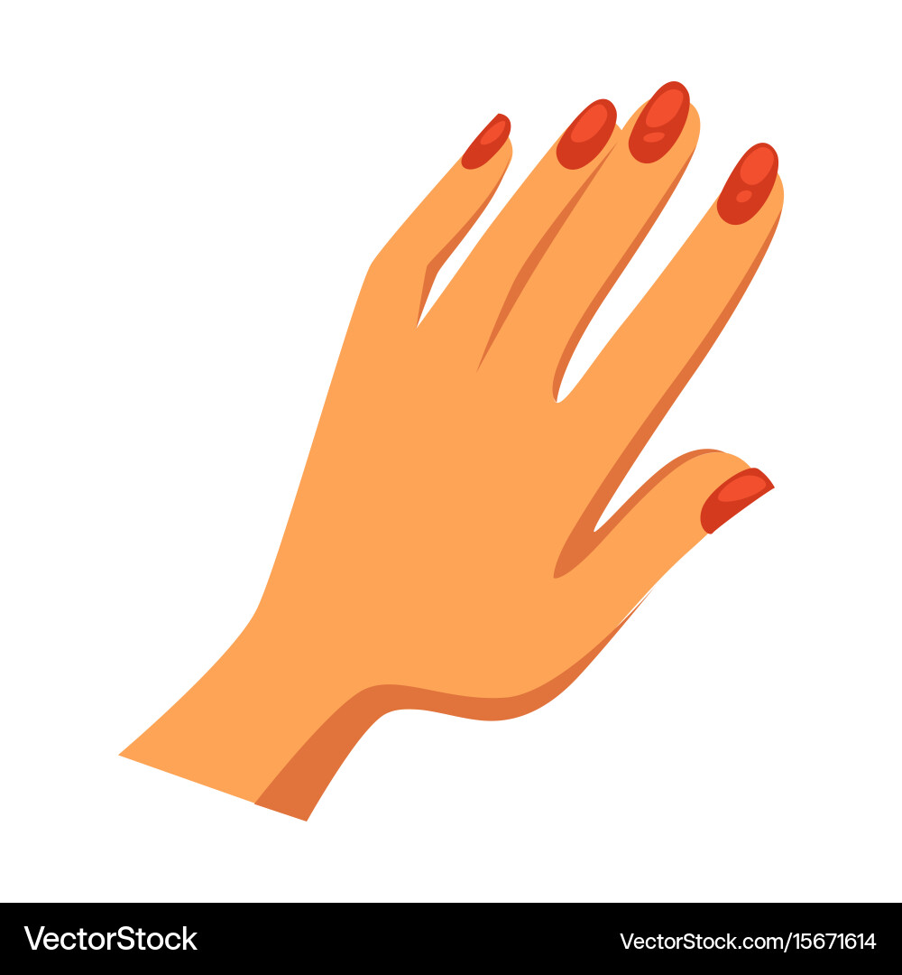 Womans hand with glossy red manicure isolated Vector Image