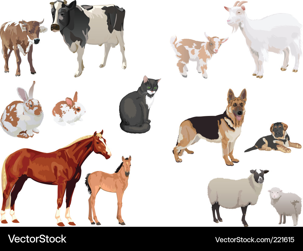 Animals Royalty Free Vector Image - VectorStock