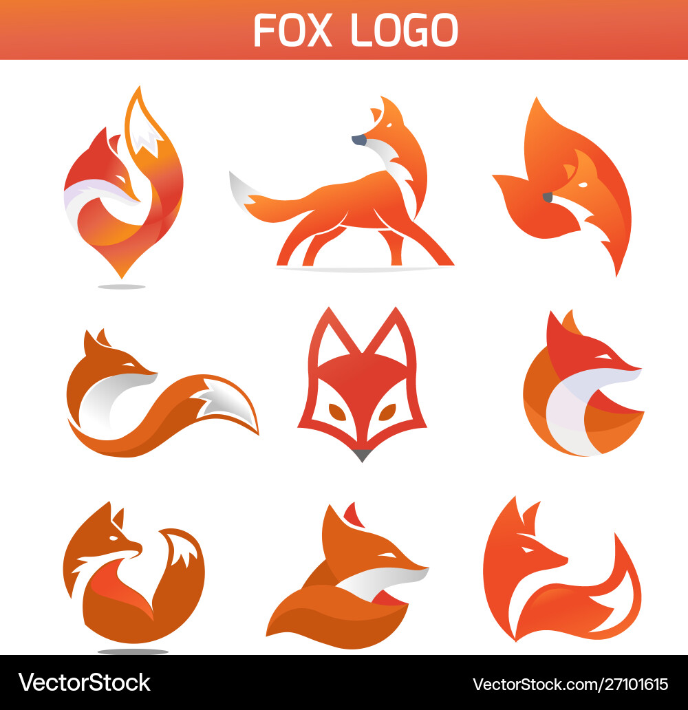 Creative fox animal Royalty Free Vector Image - VectorStock