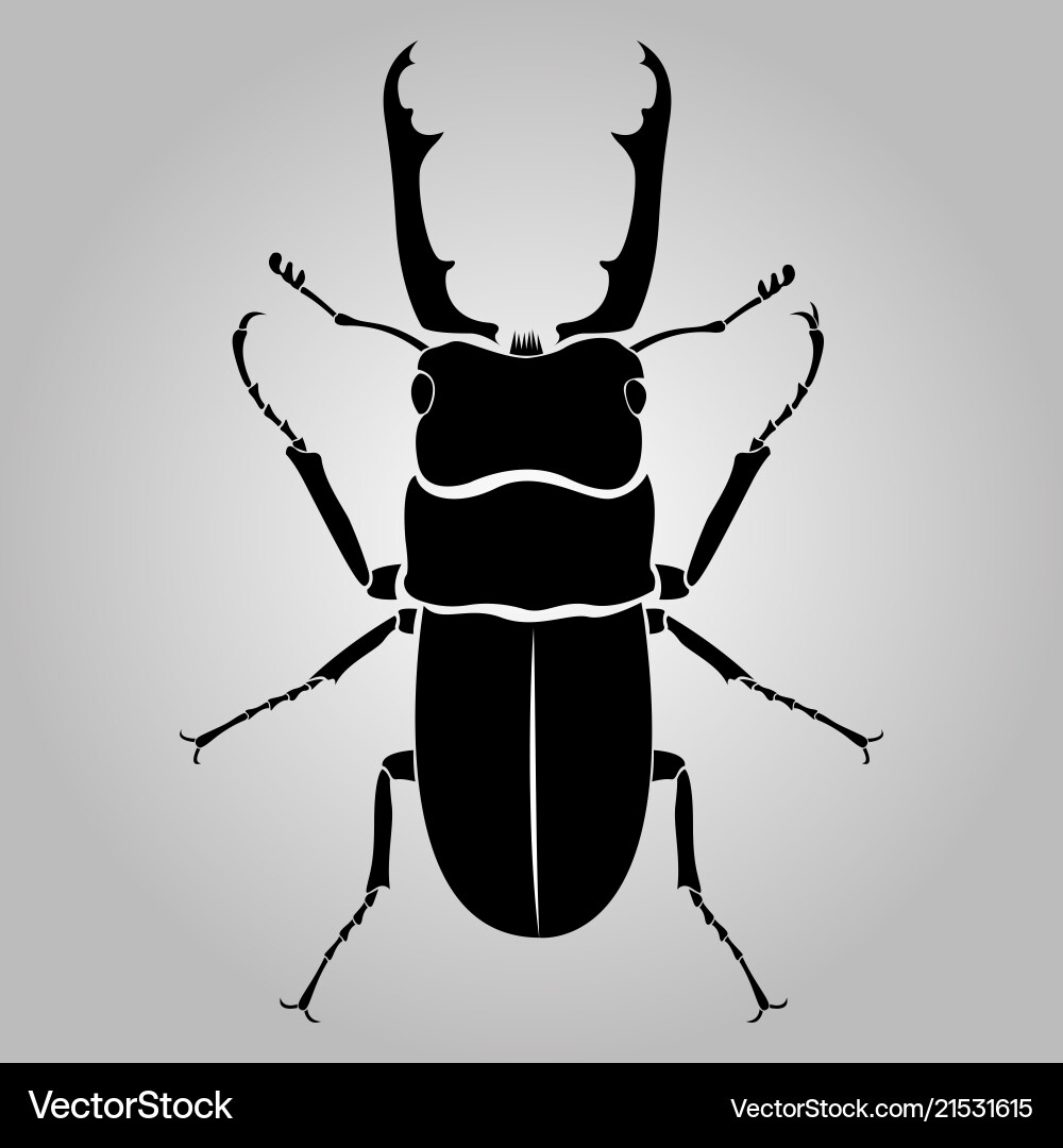 Male stag-beetle Royalty Free Vector Image - VectorStock