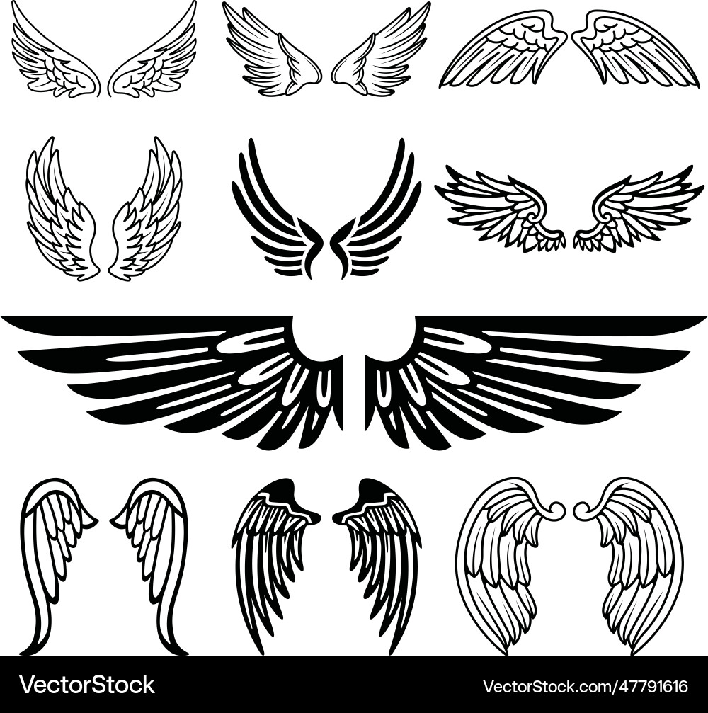 Angel Wings Vector Clip Art Sketch Open Angel Wings. Vector