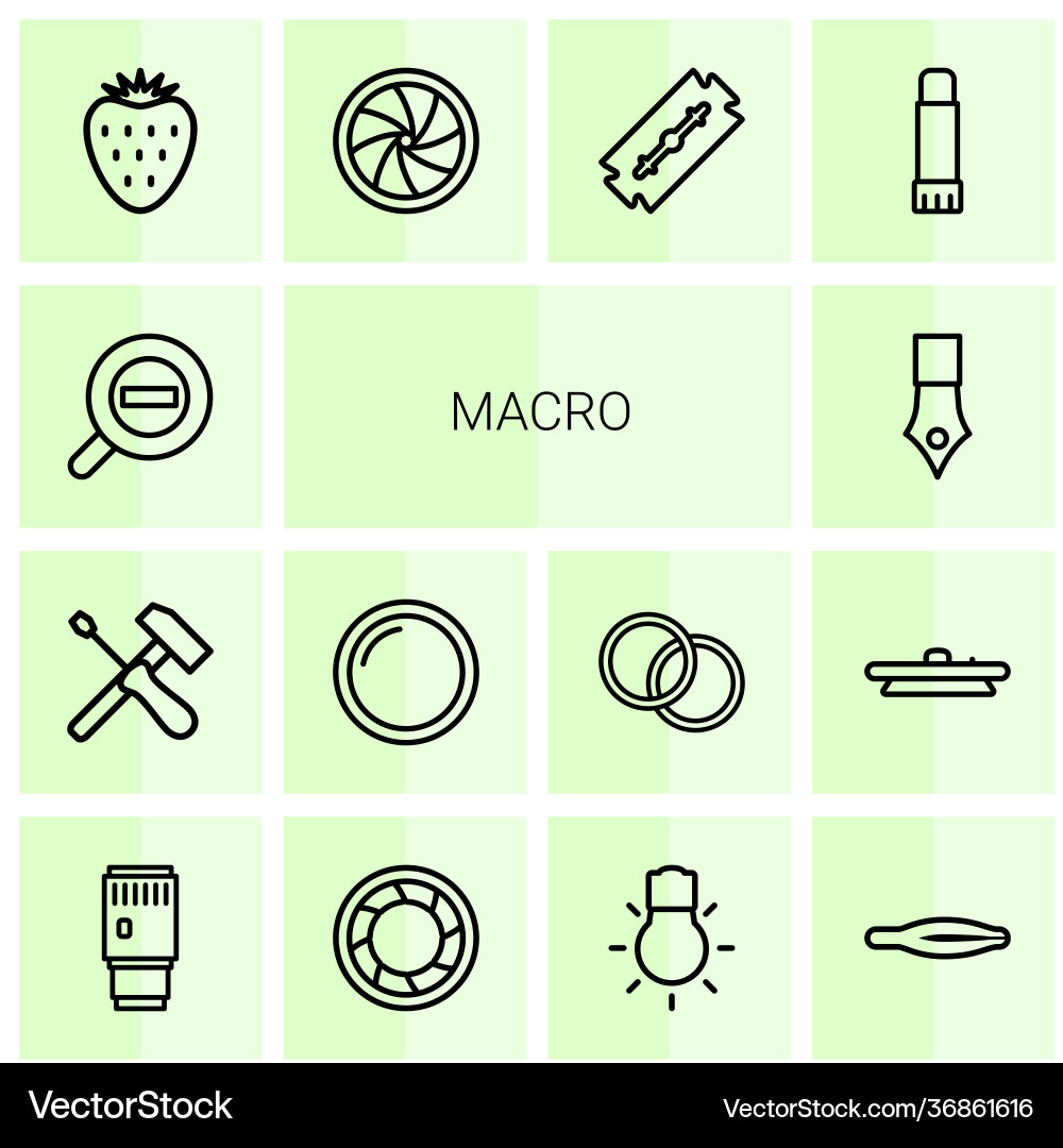 Makro-Symbole Lizenzfreies Vektorbild - VectorStock