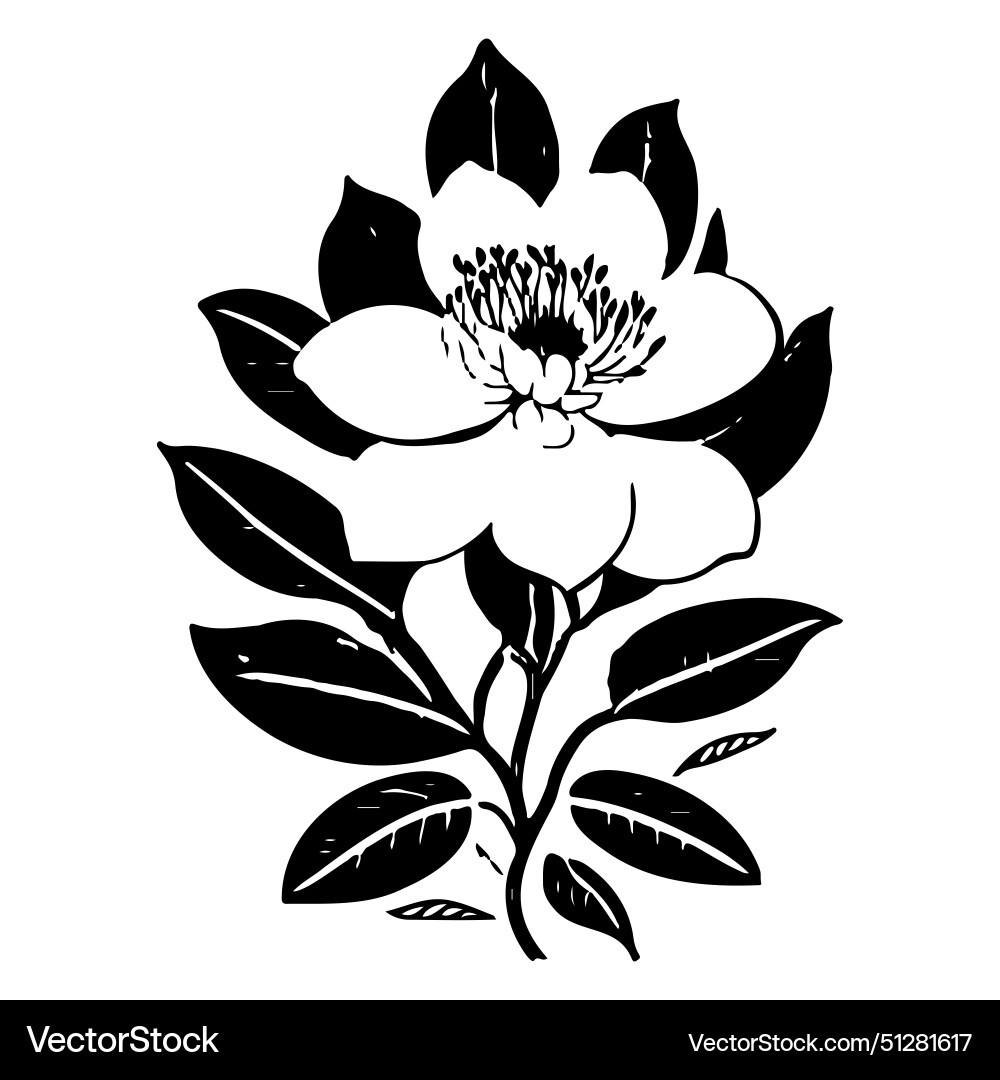 Azalea flower sketch Royalty Free Vector Image
