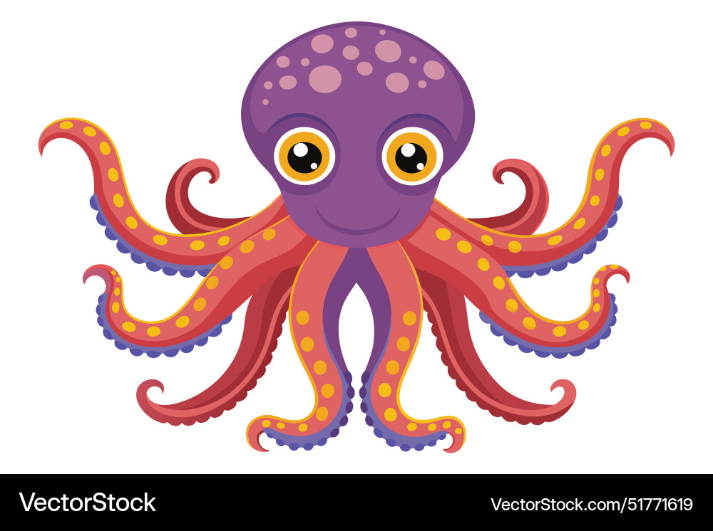 Octopus flat on white background Royalty Free Vector Image