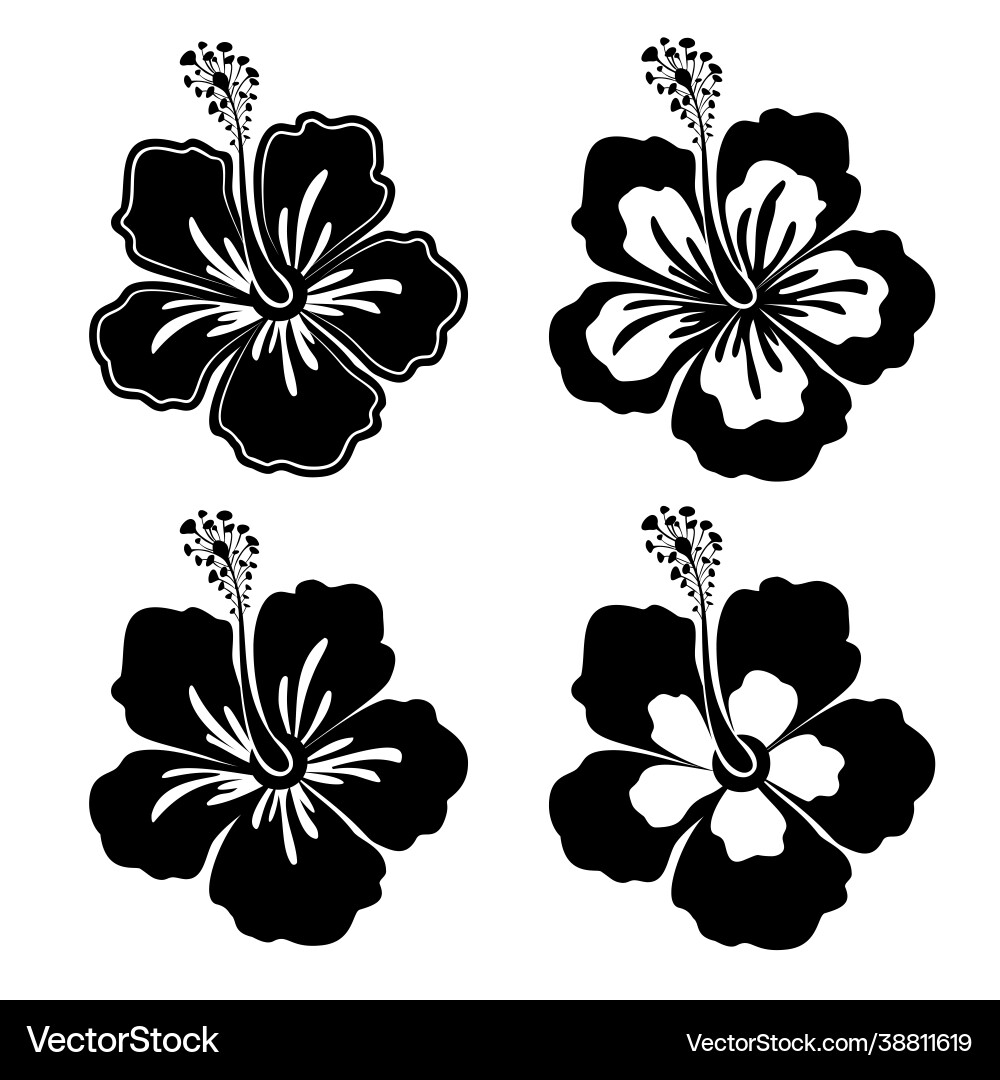 Set black-white hibiscus flowers flat design Vector Image