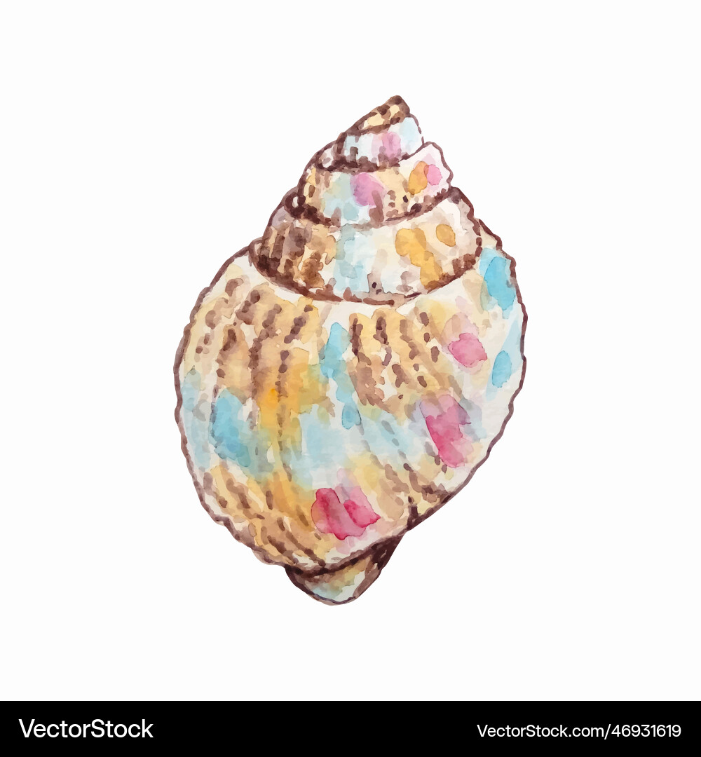 Watercolor colorful seashell hand drawn Royalty Free Vector