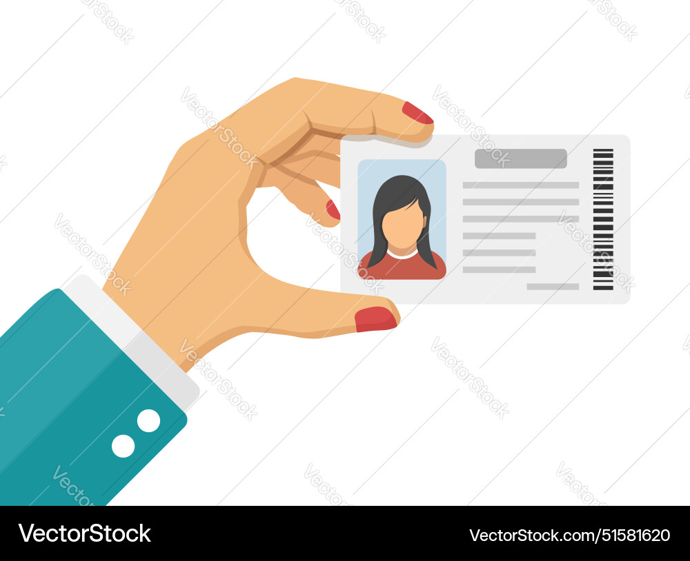 Hand holding driver license icon in flat style Vector Image