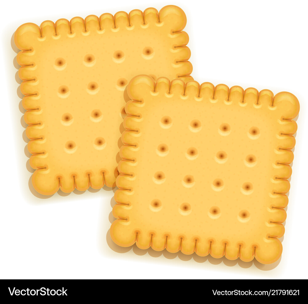 Two delicious biscuit Royalty Free Vector Image
