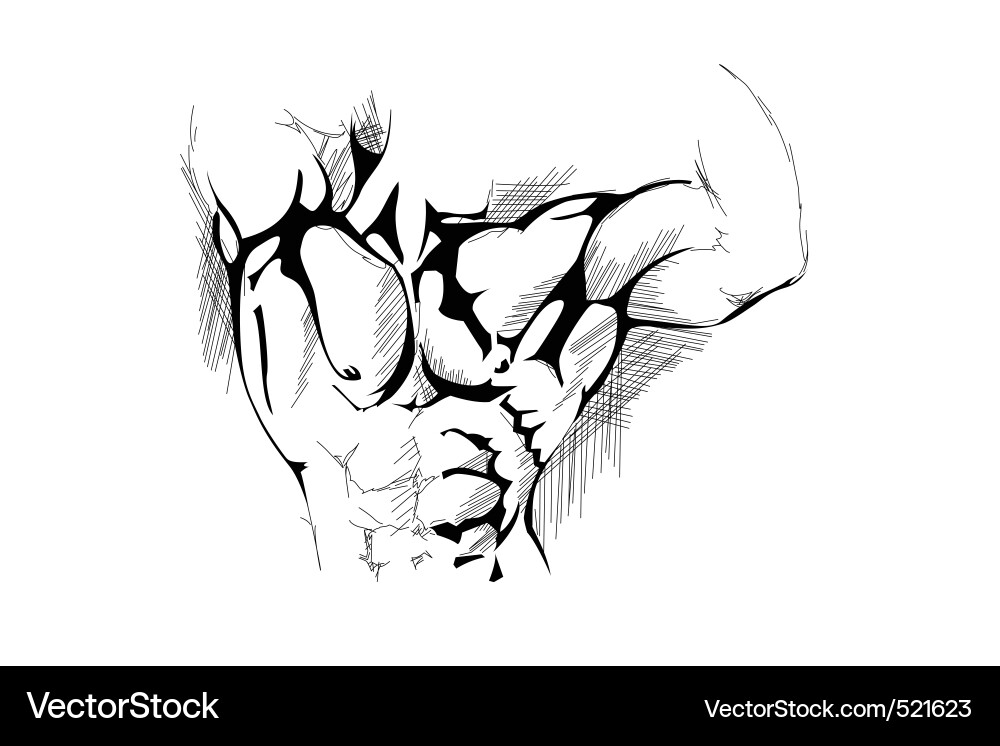 Muscular Male Figure Royalty Free Vector Image