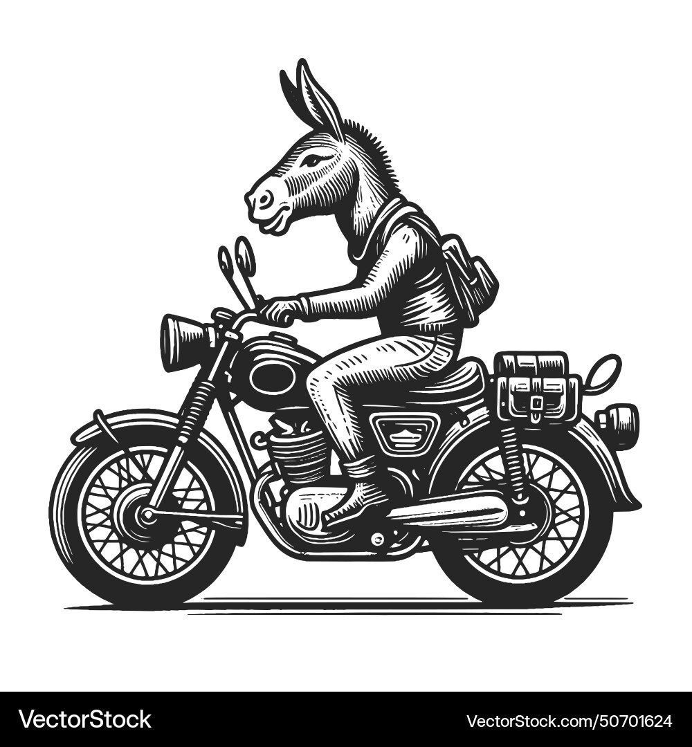 Donkey riding motorcycle sketch Royalty Free Vector Image