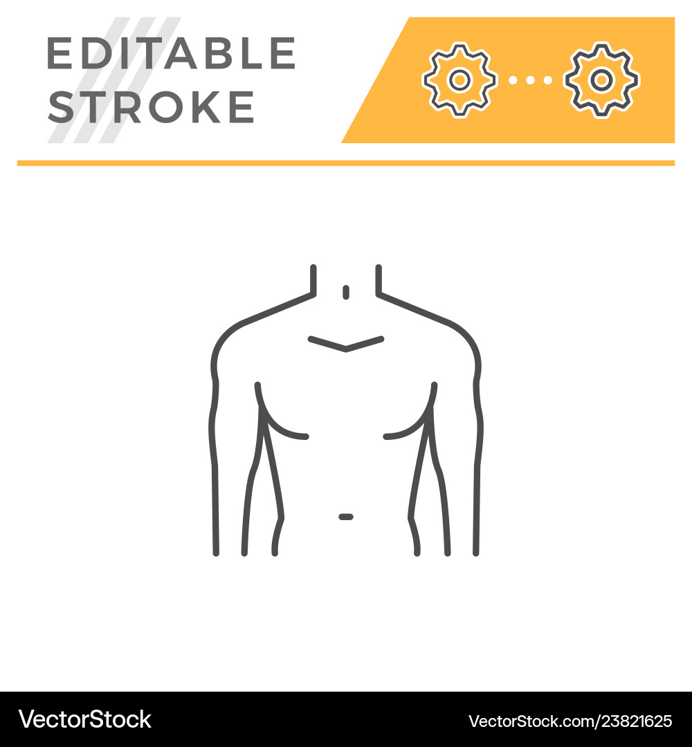 Male torso line icon Royalty Free Vector Image