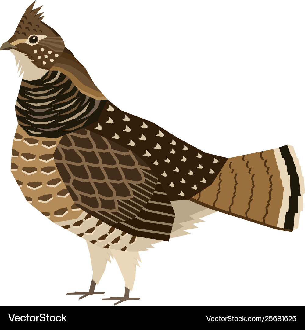 Ruffed grouse birds collection Royalty Free Vector Image
