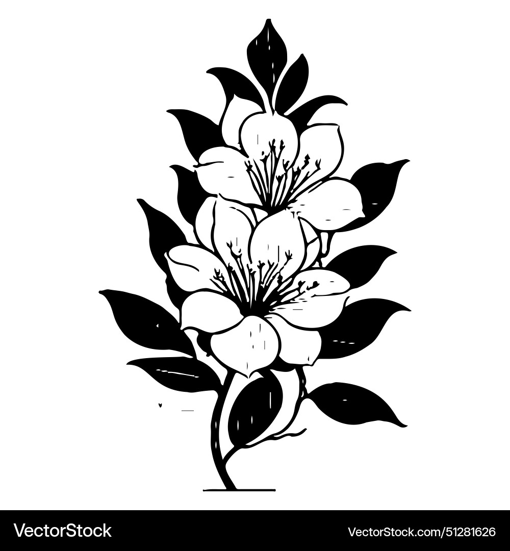 Azalea flower sketch Royalty Free Vector Image