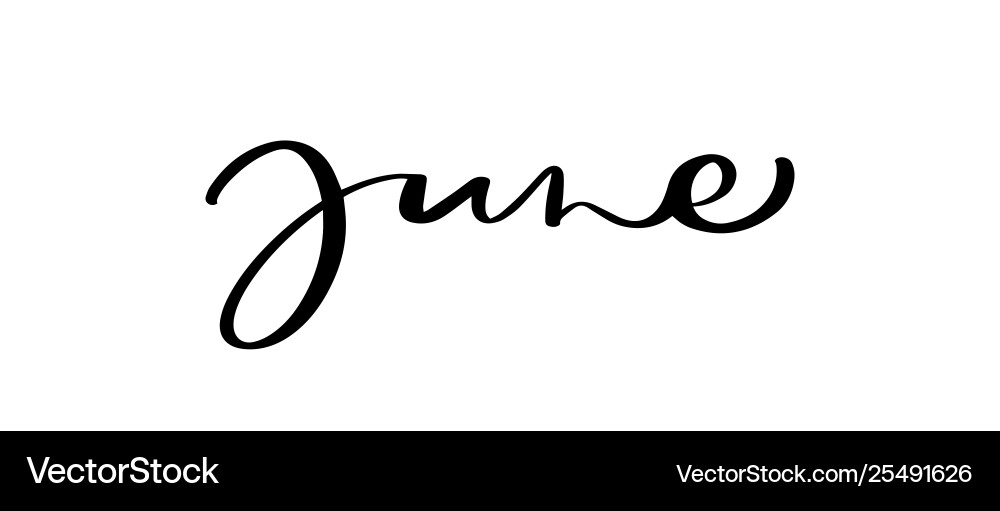 Hand drawn typography lettering text june Vector Image