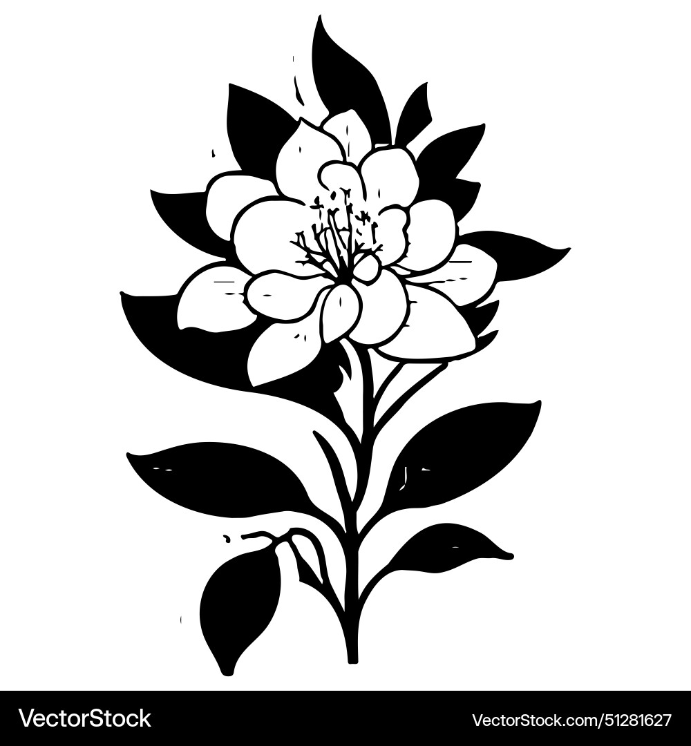 Azalea flower sketch Royalty Free Vector Image