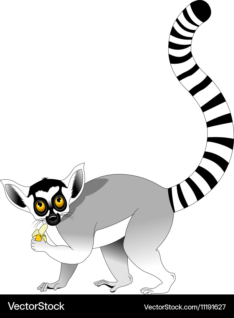 Cartoon lemur Royalty Free Vector Image - VectorStock