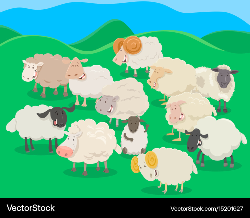 Flock of sheep cartoon Royalty Free Vector Image