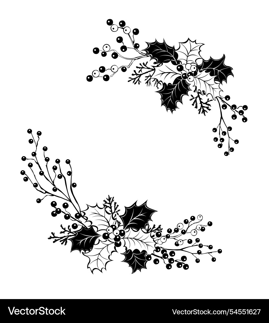 Holly with contoured winterberry Royalty Free Vector Image