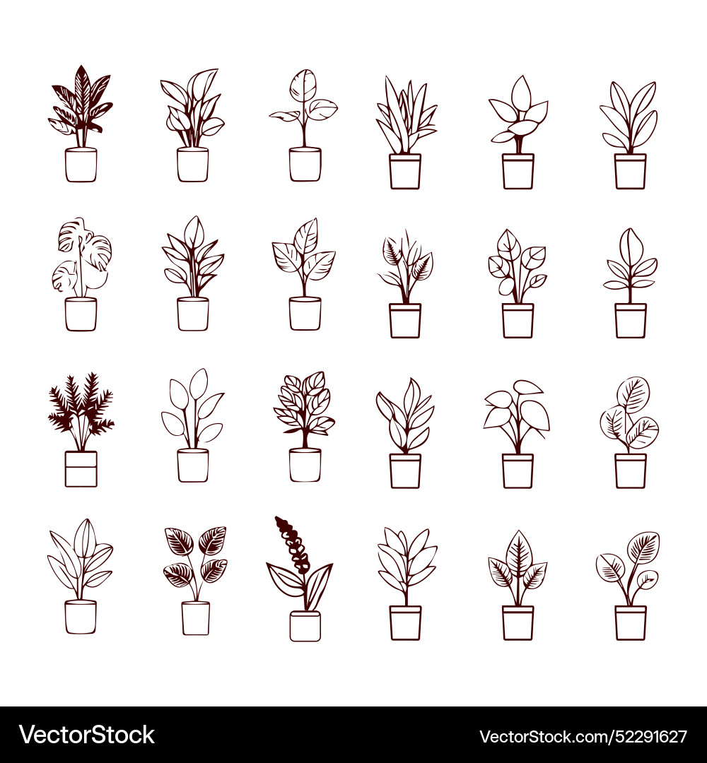 Line art drawing plant flower Royalty Free Vector Image