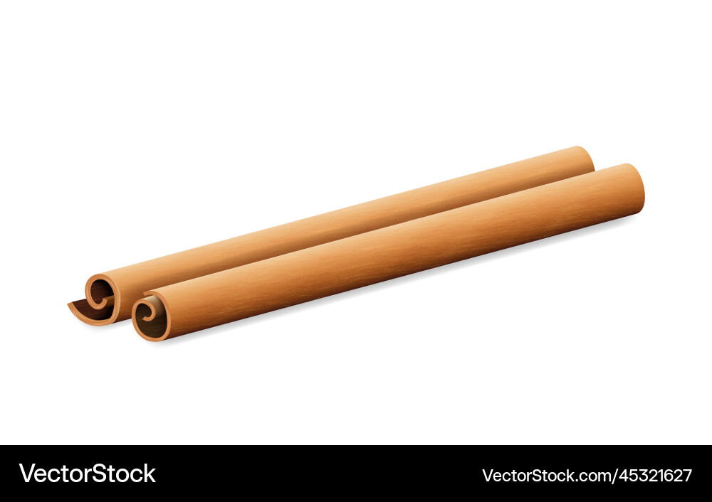Realistic Cinnamon Sticks Royalty Free Vector Image