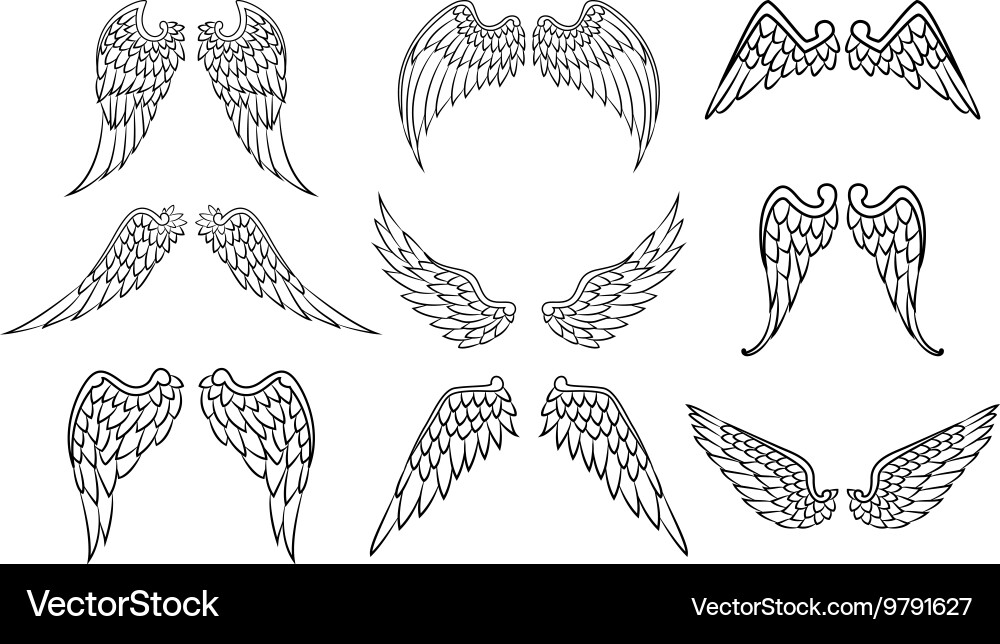 Wing Symbol Set Royalty Free Vector Image - VectorStock