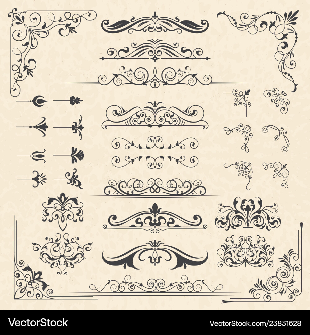 Calligraphy borders corners classic vintage Vector Image