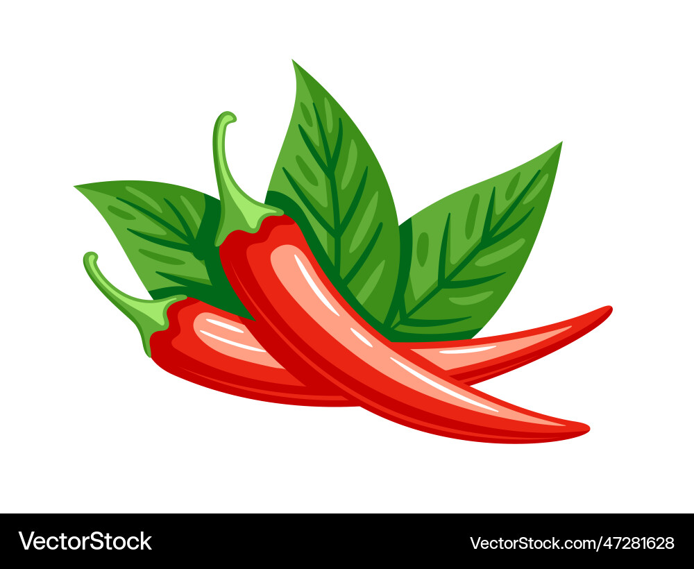 Red chili pepper in cartoon style Royalty Free Vector Image