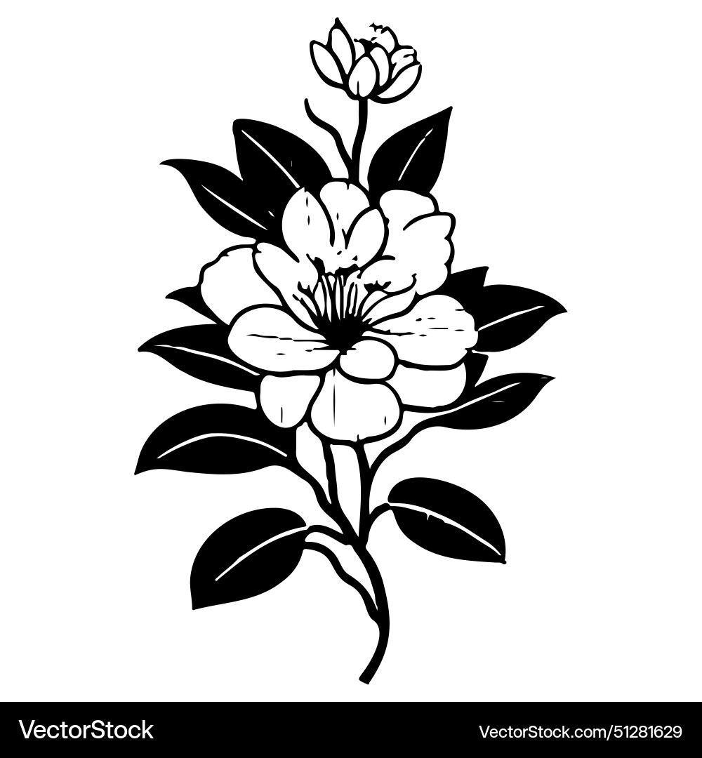 Azalea flower sketch Royalty Free Vector Image