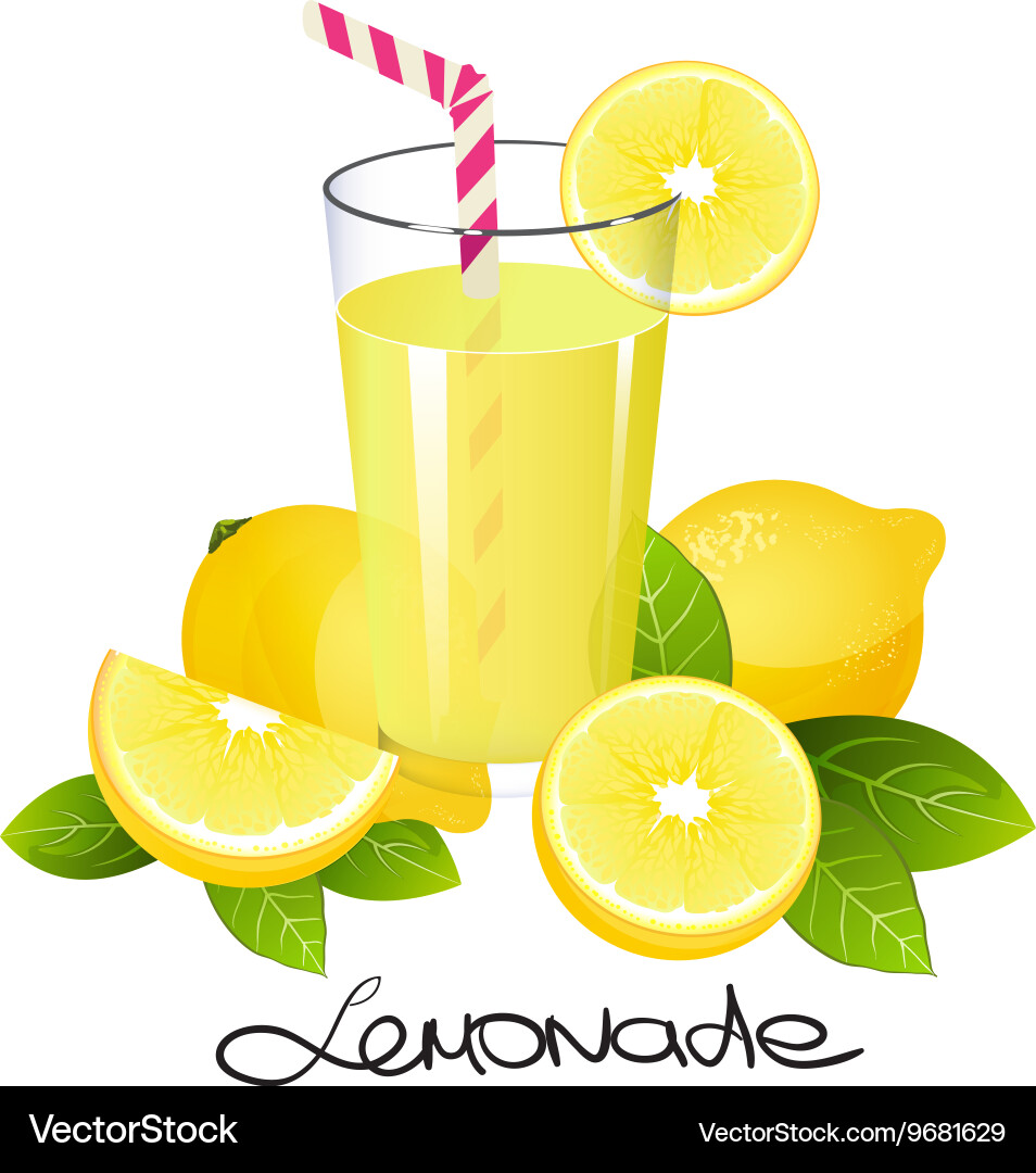 Fresh lemonade with lemon fruit slice realistic Vector Image