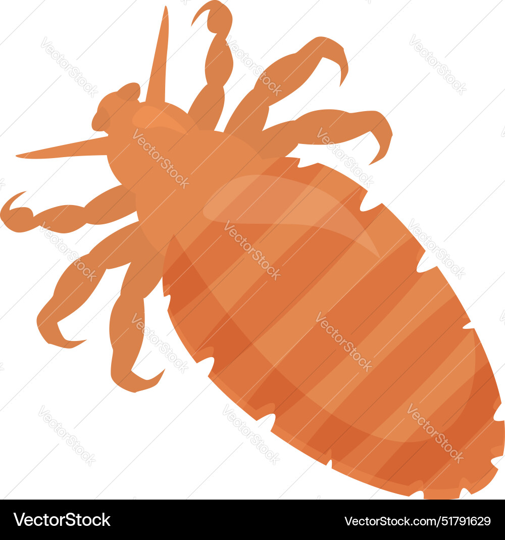 Louse insect spreading infection through blood Vector Image