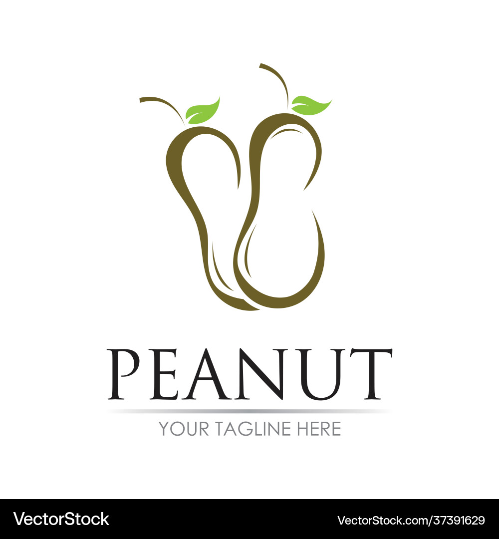 Peanut logo design template Royalty Free Vector Image