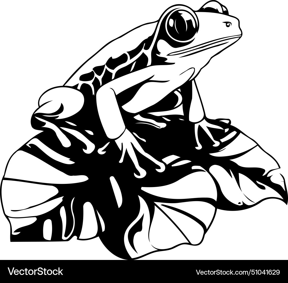 Red-eyed tree frog on a green leaf Royalty Free Vector Image