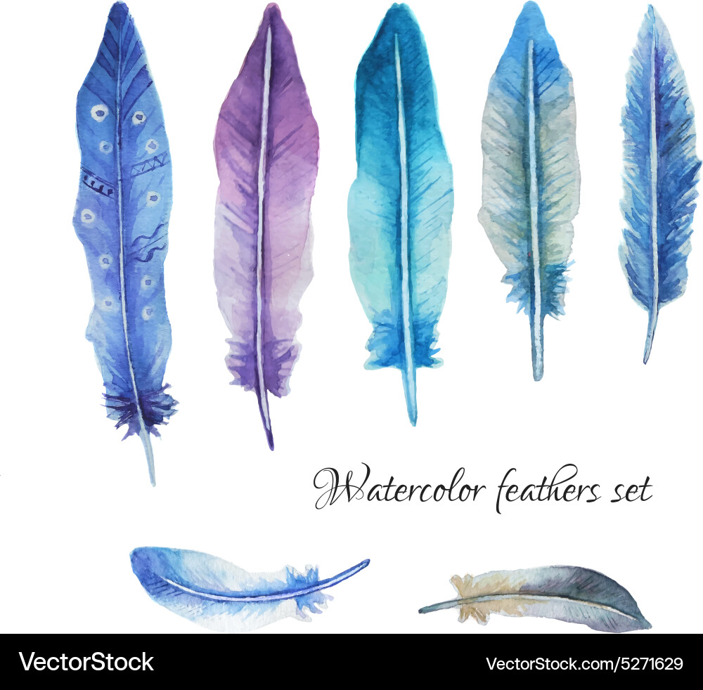 Watercolor feathers set Royalty Free Vector Image