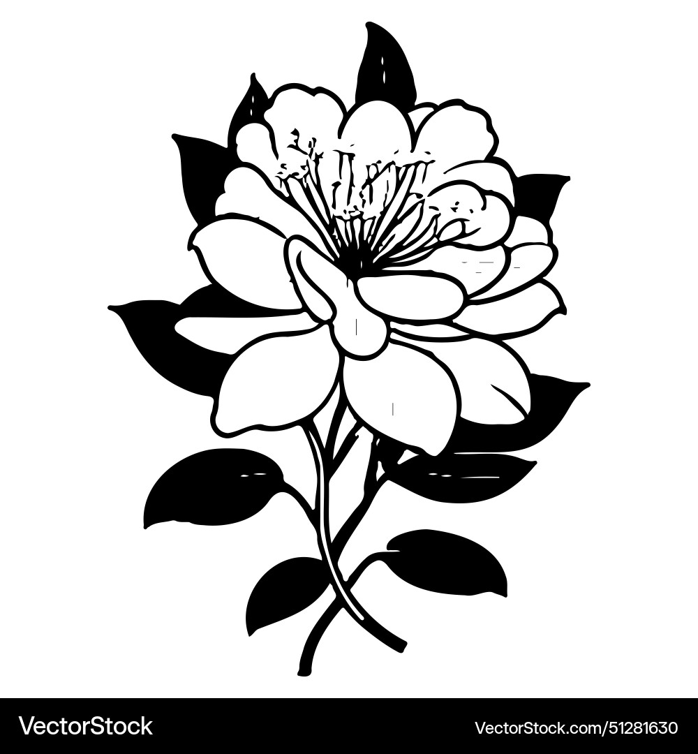 Azalea flower sketch Royalty Free Vector Image