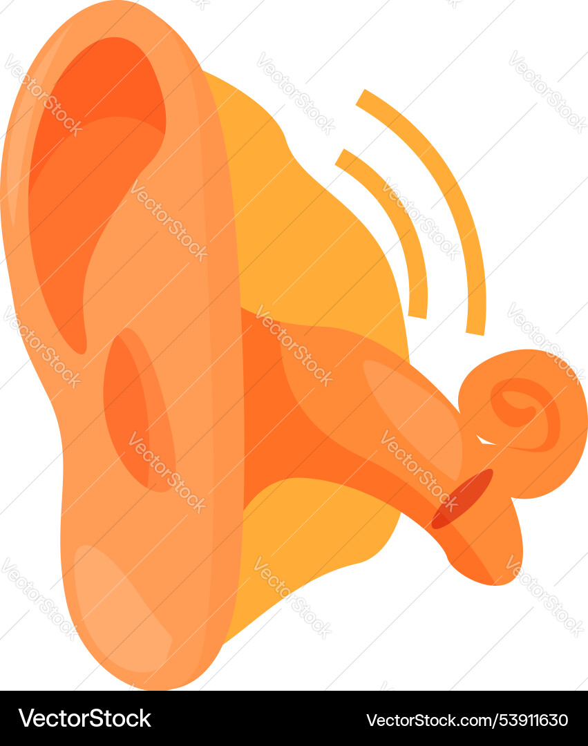 Human ear hearing sound waves entering canal Vector Image