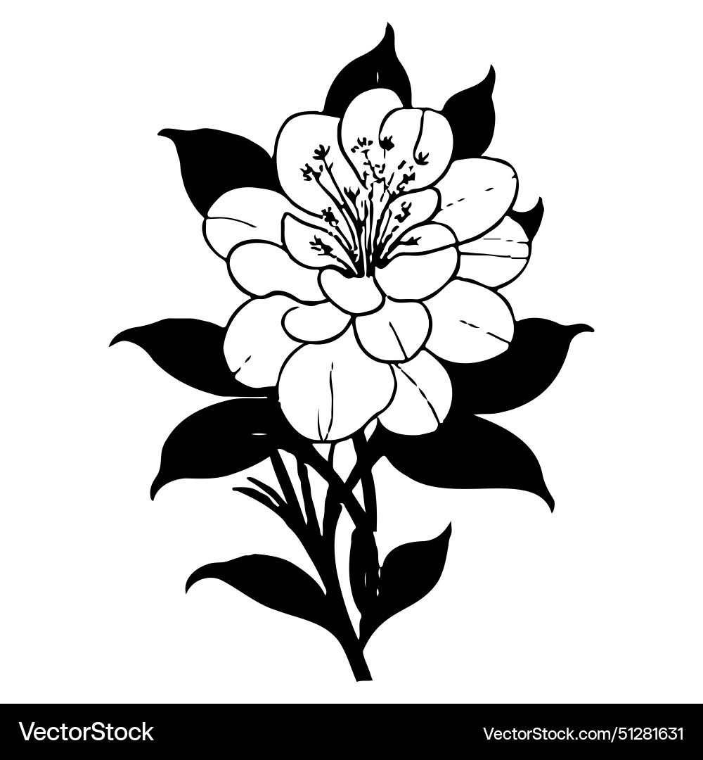 Azalea flower sketch Royalty Free Vector Image