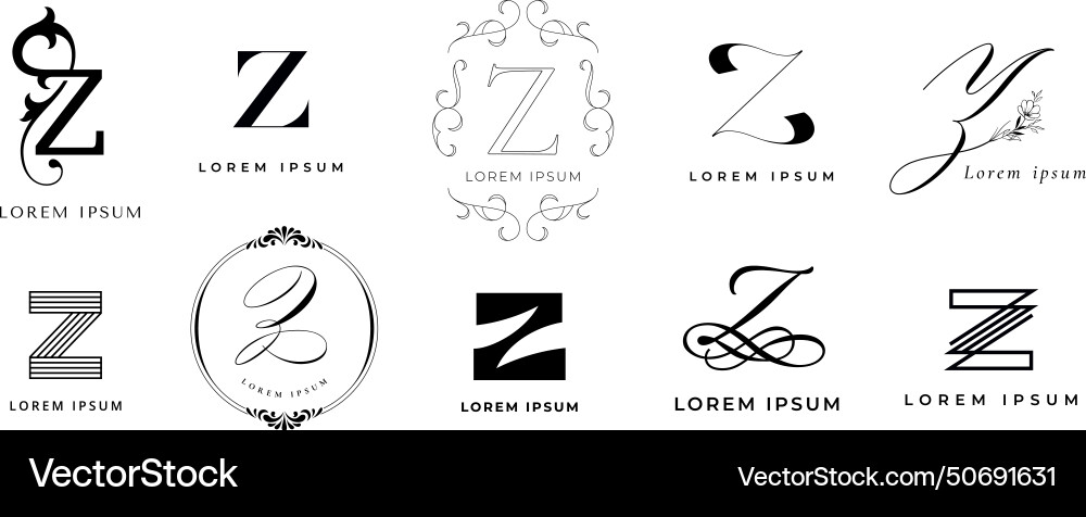 Creative z emblem letter monogram for vintage Vector Image