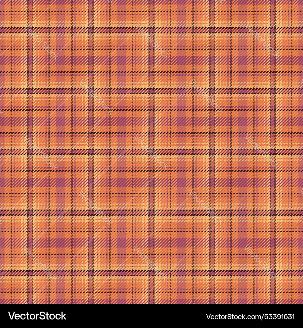 Drapery tartan plaid check continuity background Vector Image