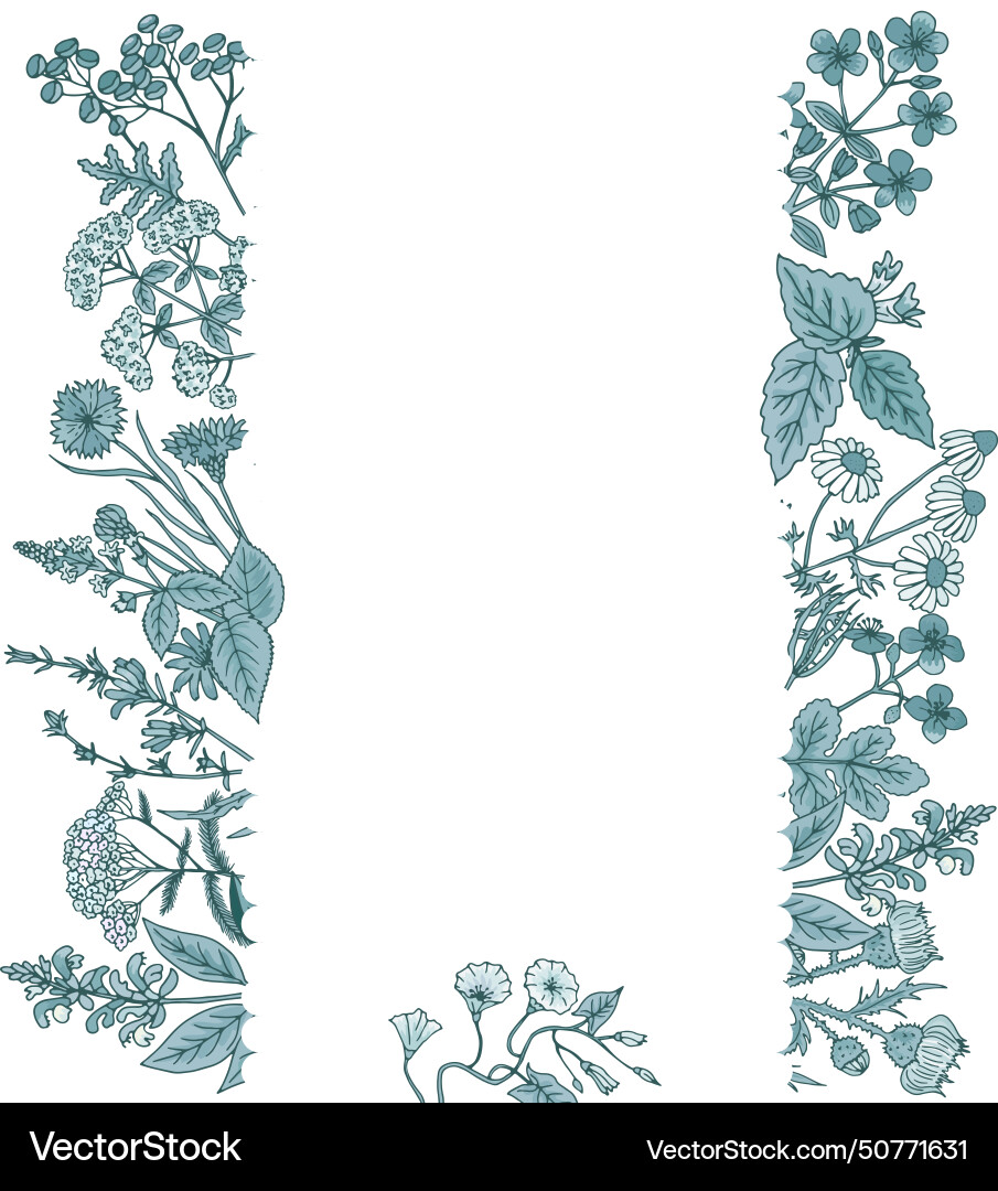 Floral border with hand drawn plants decorative Vector Image