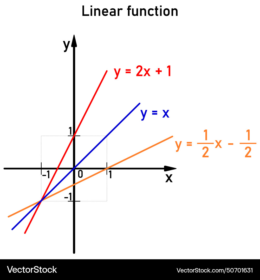 Linear functions Royalty Free Vector Image - VectorStock