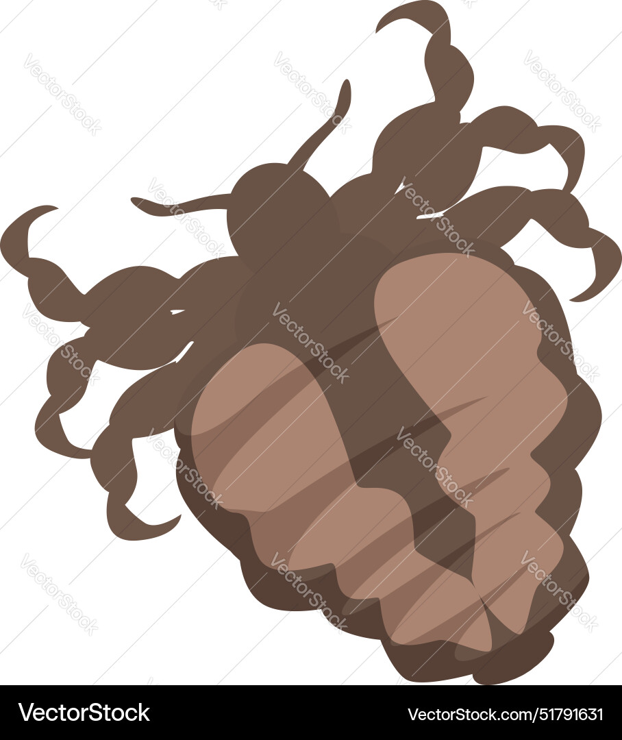 Louse insect spreading infection through Vector Image
