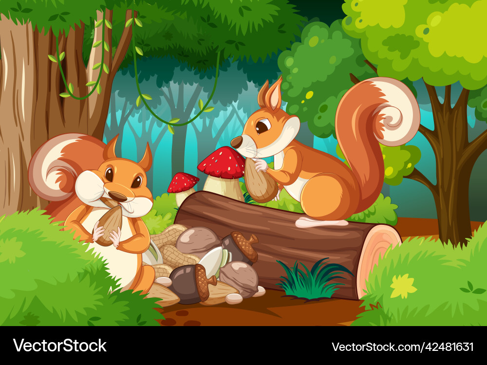 Scene with squirrels in forest Royalty Free Vector Image