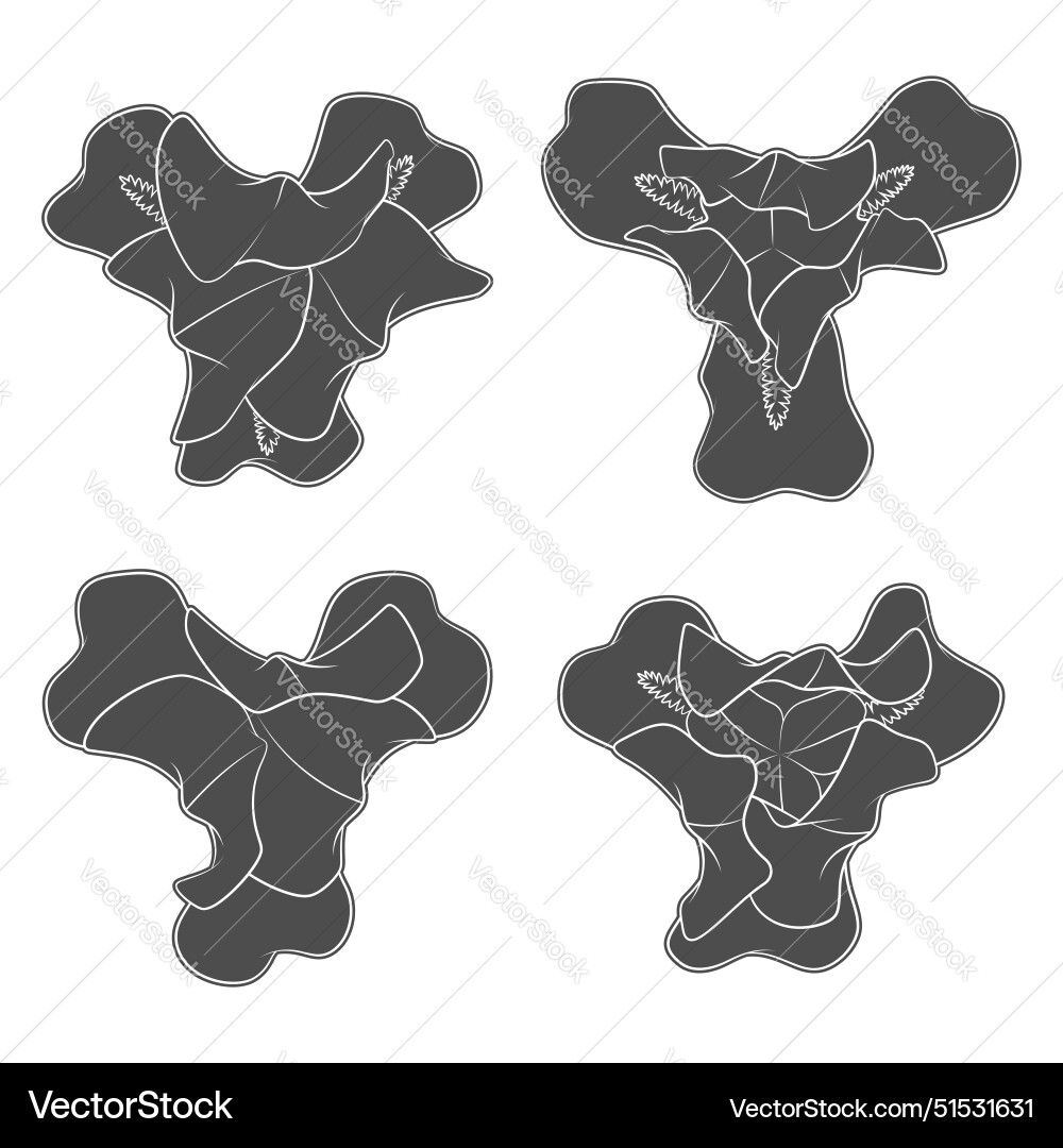 Set of black and white with iris Royalty Free Vector Image