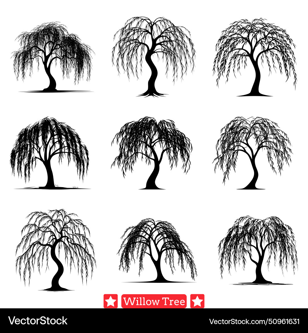 Sylvan elegance willow tree collection Royalty Free Vector