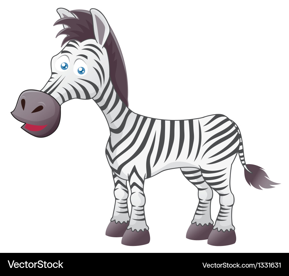 Zebra Royalty Free Vector Image - VectorStock