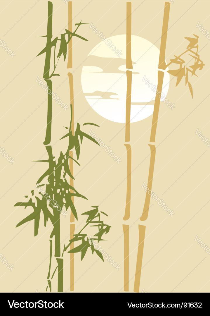 Bamboo background Royalty Free Vector Image - VectorStock