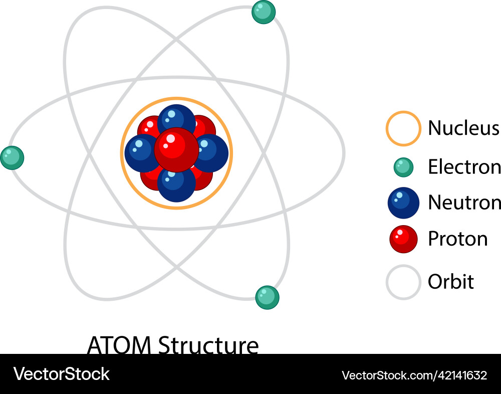 Diagram of atom structure Royalty Free Vector Image
