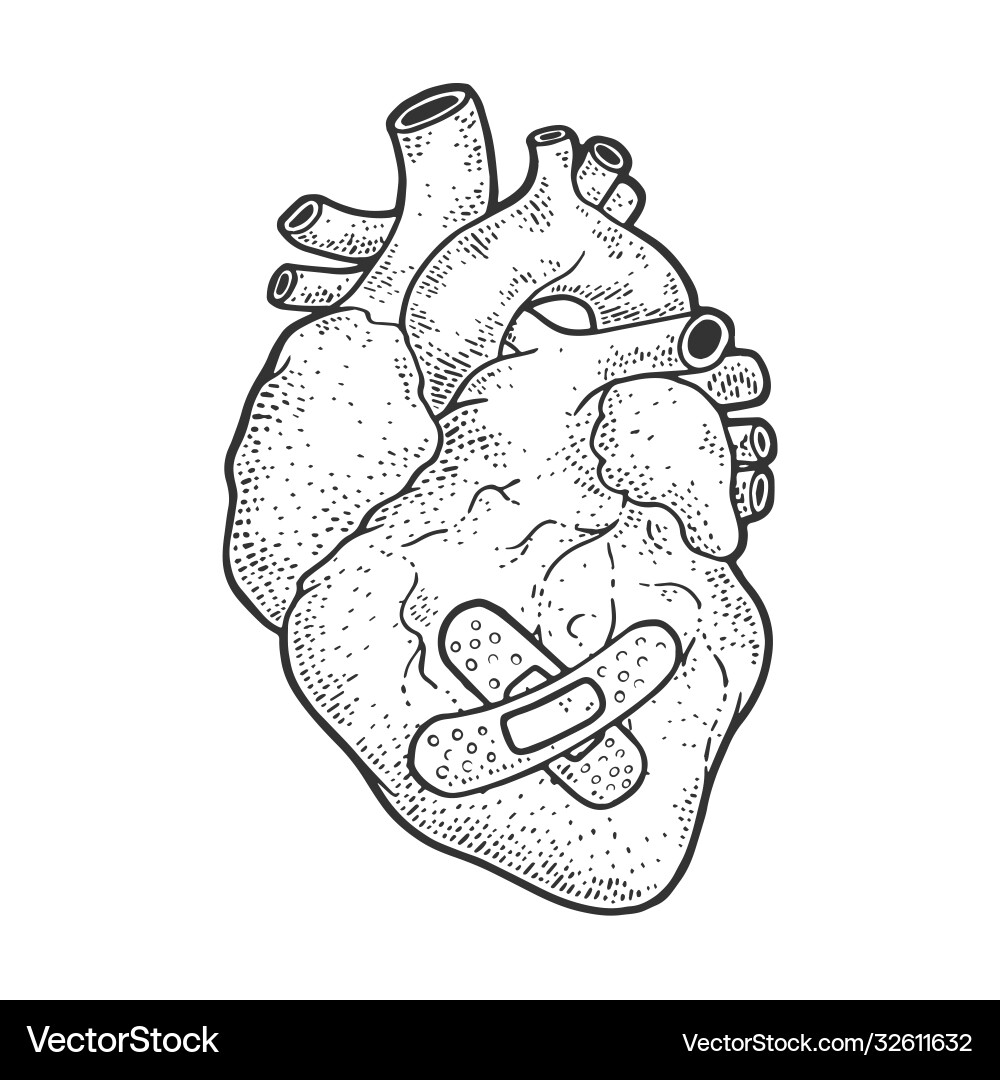 Human heart patch sketch Royalty Free Vector Image